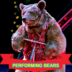 Loomis Bros. Circus – Loomis Bros. Circus